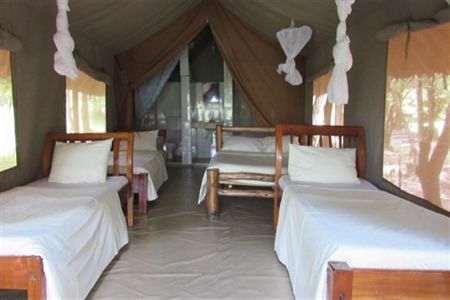 Enchoro Wildlife Tented Standard Rooms-Masai Mara Tented Accommodation