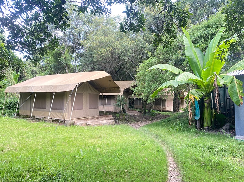 Masai Mara Budget Tented Camps Accommodation | Cheap Tourist Camp in ...