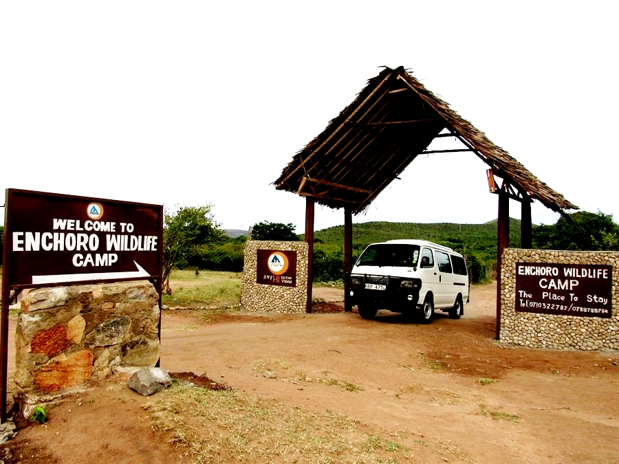 Masai Mara Budget Tented Camps Accommodation | Kenya Camping Safari Tours