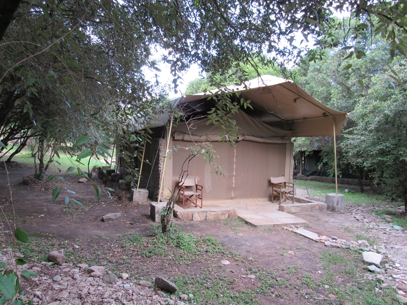 Masai Mara Safari Tented Camps | Backpackers Accommodation